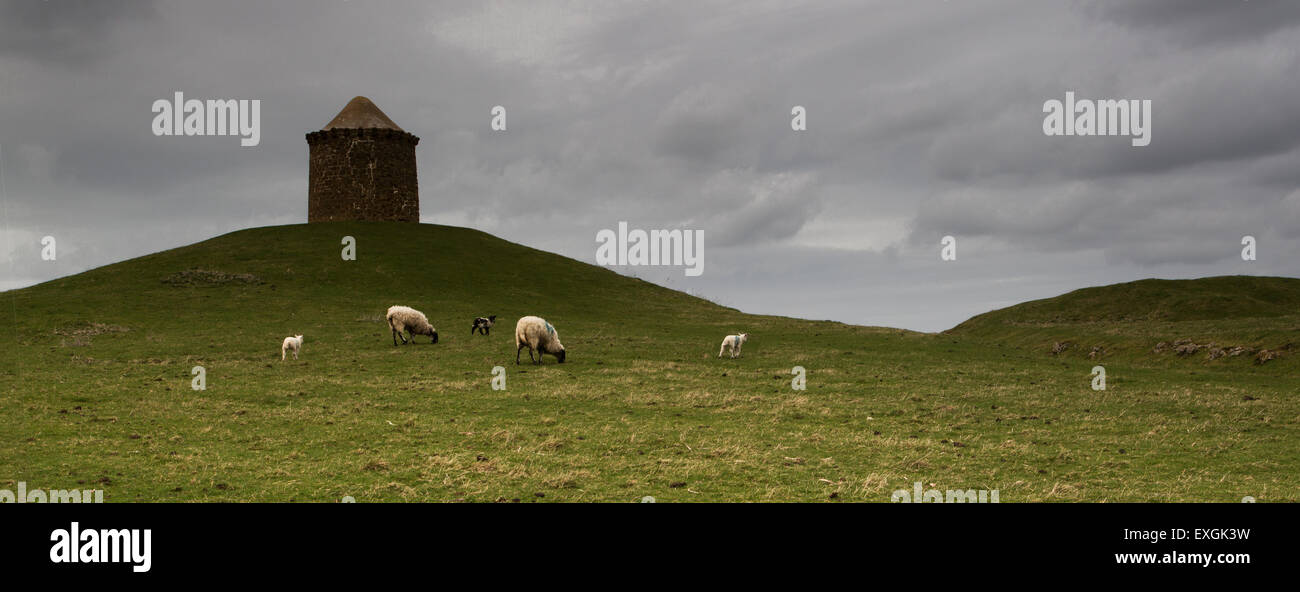 Sheep at the tower hi-res stock photography and images - Alamy
