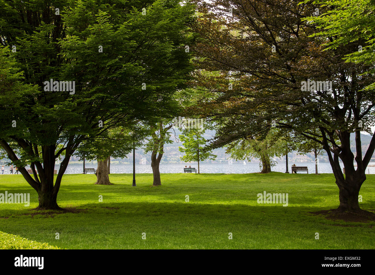 A view through trees to the lake in Kelowna, BC, Canada Stock Photo - Alamy