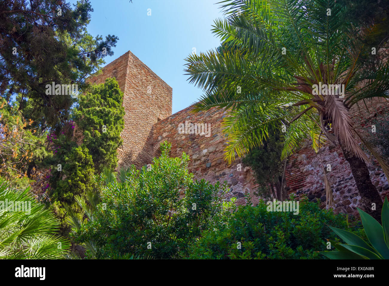 Courtyards and gardens of the famous Palace of the Alcazaba in Malaga ...
