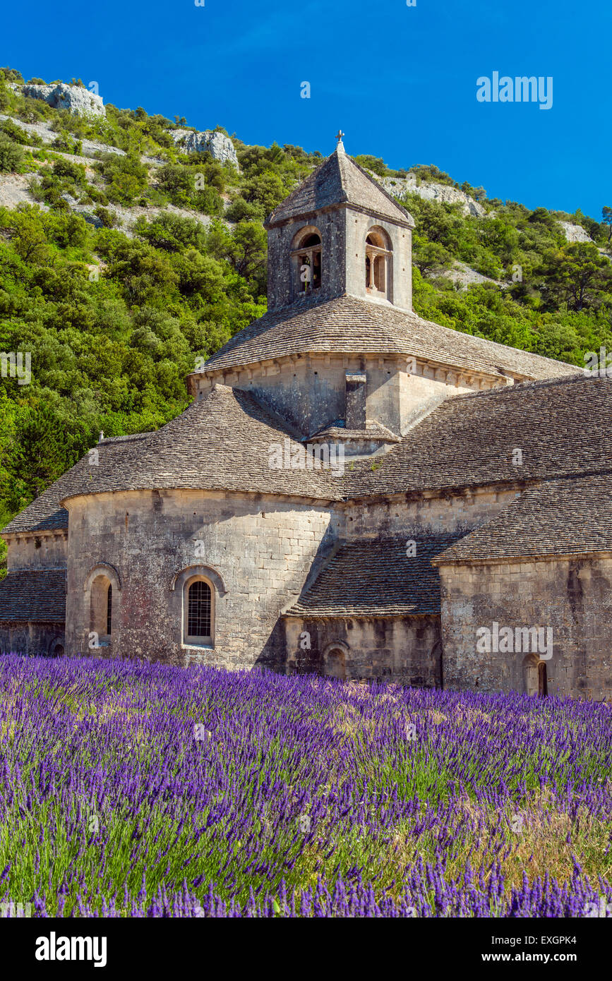 Senanque Abbey or Abbaye Notre-Dame de Senanque with lavender field in ...