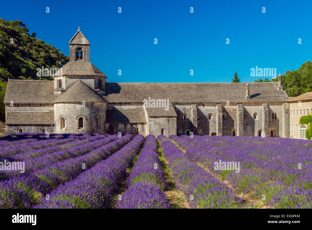 Abbaye notre dame de senanque hi-res stock photography and images - Alamy