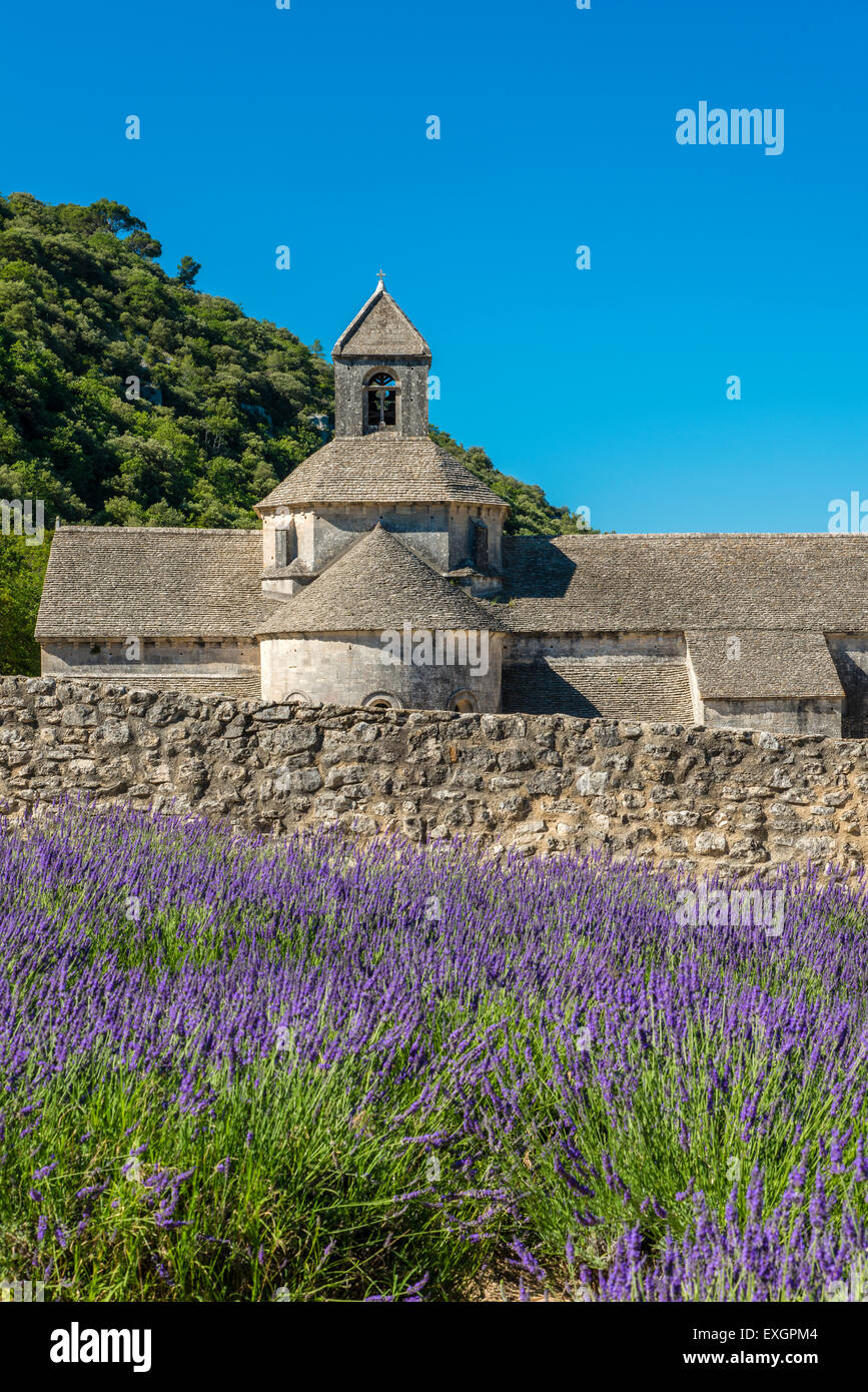 Abbaye notre dame de senanque hi-res stock photography and images - Alamy