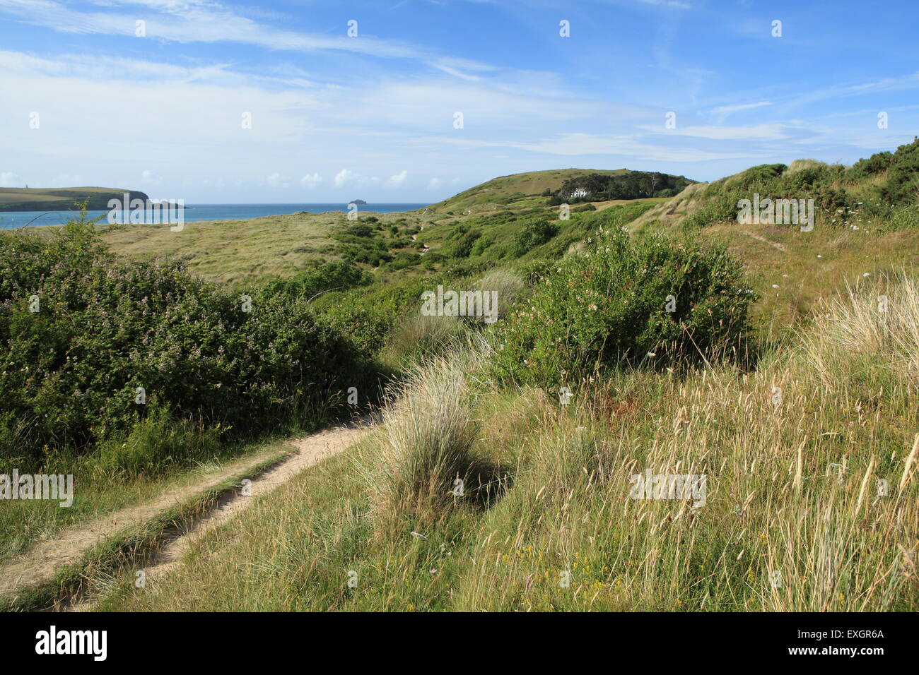 Polzeath from coastal path hi-res stock photography and images - Alamy