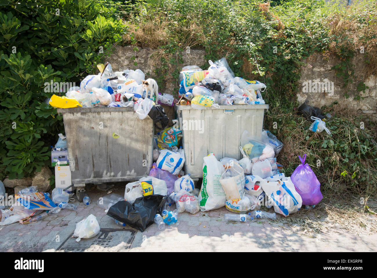 Overflow waste bins High Resolution Stock Photography and Images - Alamy