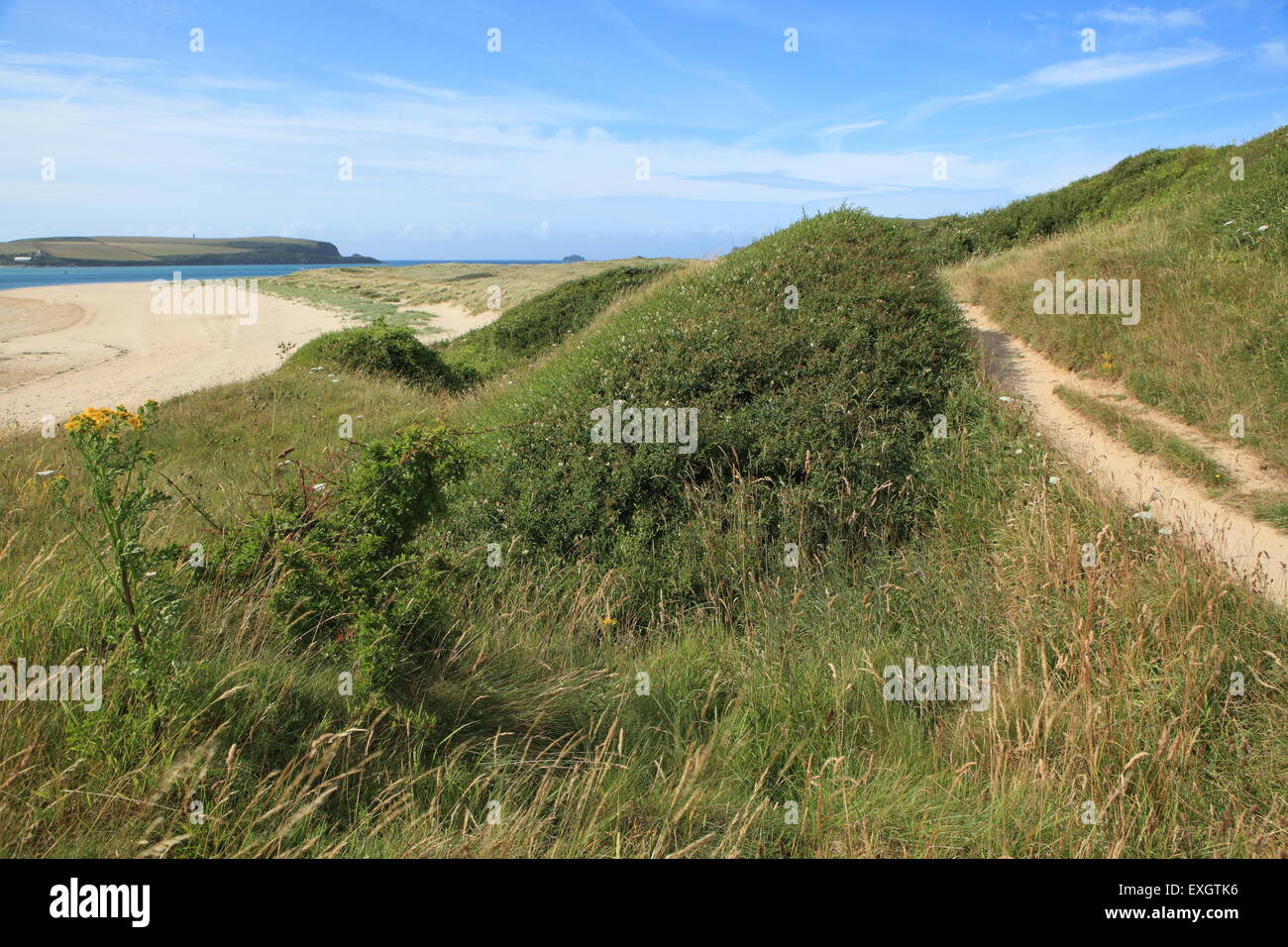 Coastal path from Rock to Polzeath, Camel estuary, North Cornwall ...