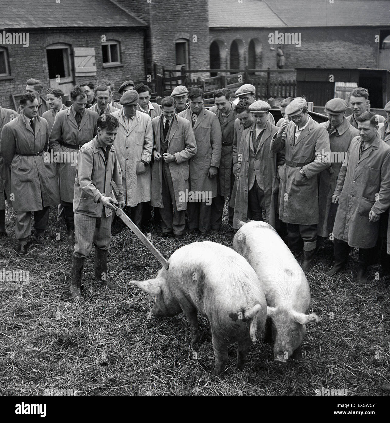 1950s historical picture showing a large group of male students or ...