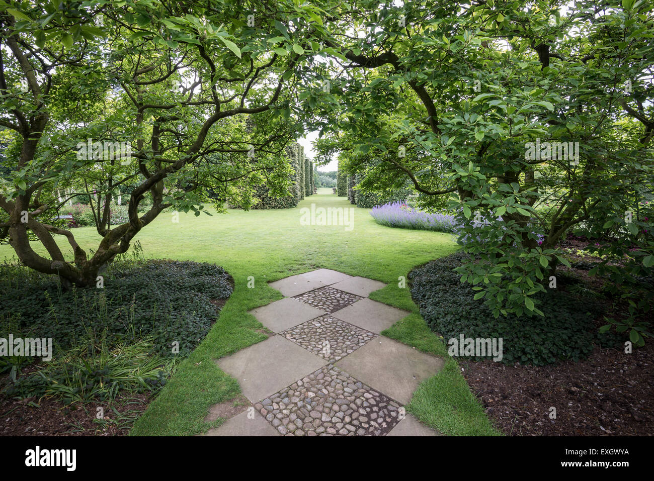 Overhanging trees hi-res stock photography and images - Alamy