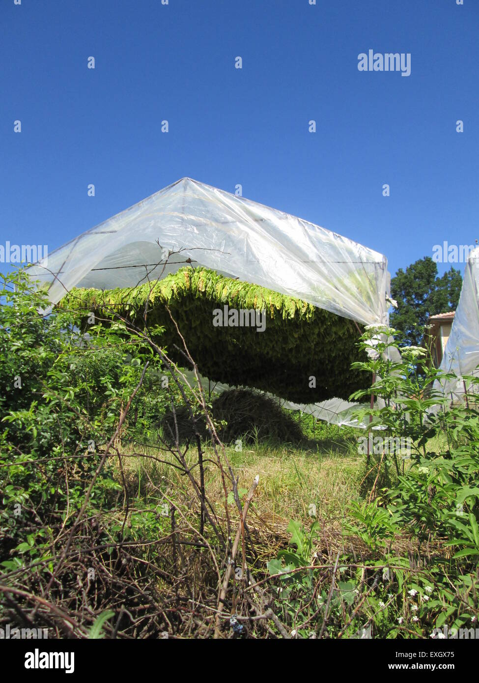 Drying Tent High Resolution Stock Photography and Images - Alamy