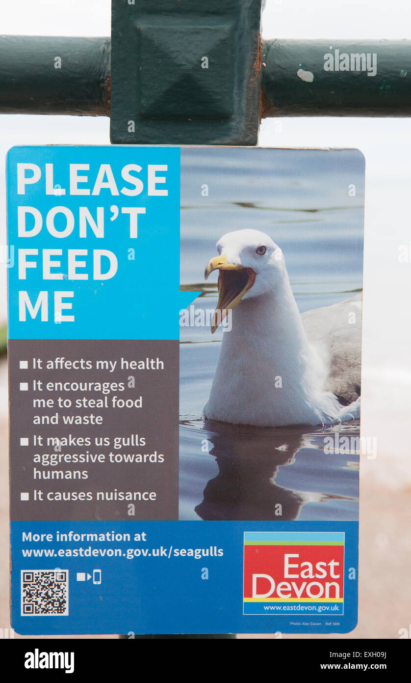 seagull warning Please don't feed me sign in Sidmouth Devon Stock Photo ...