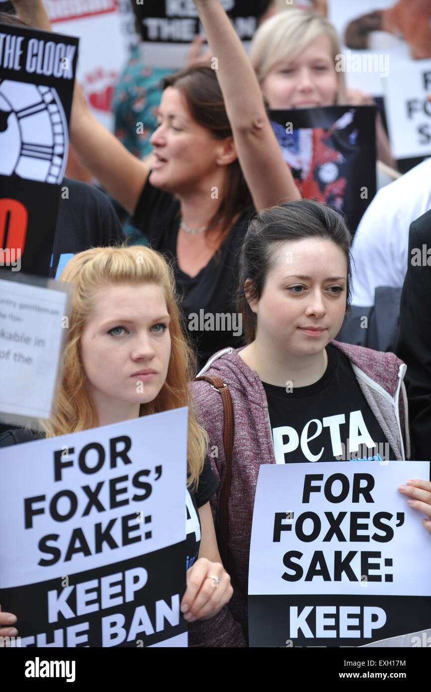 Fox hunters parliament hi-res stock photography and images - Alamy
