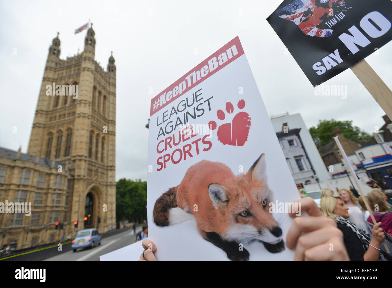 Westminster, London, UK. 14th July 2015. A Fox hunting ban ...