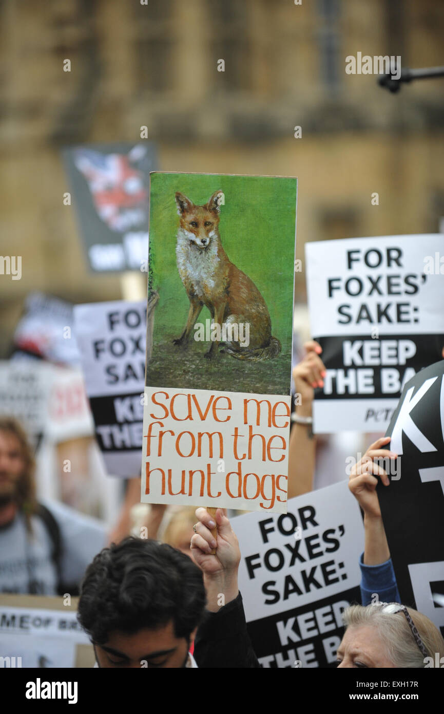 Westminster, London, UK. 14th July 2015. A Fox hunting ban ...