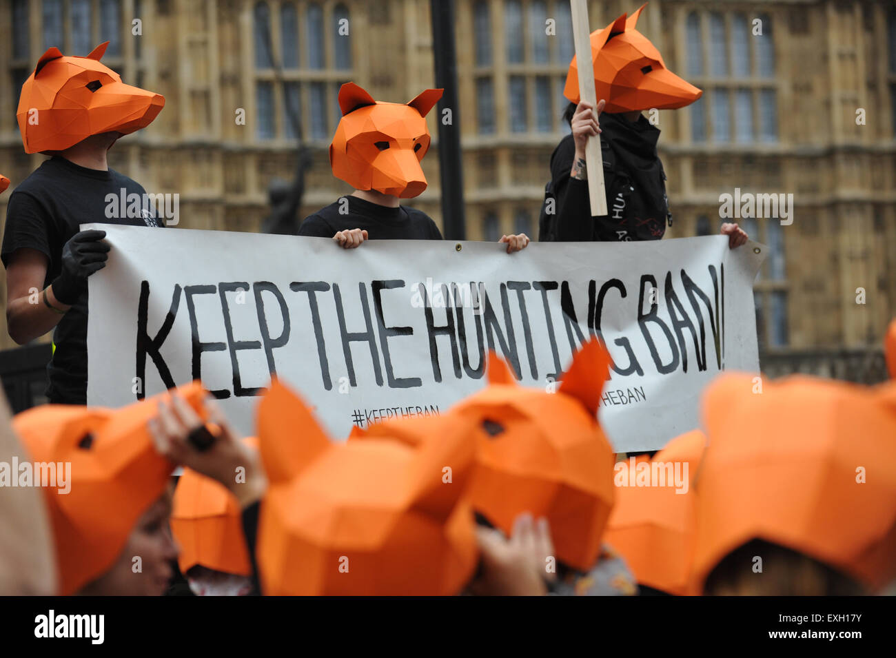 Westminster, London, UK. 14th July 2015. A Fox hunting ban ...