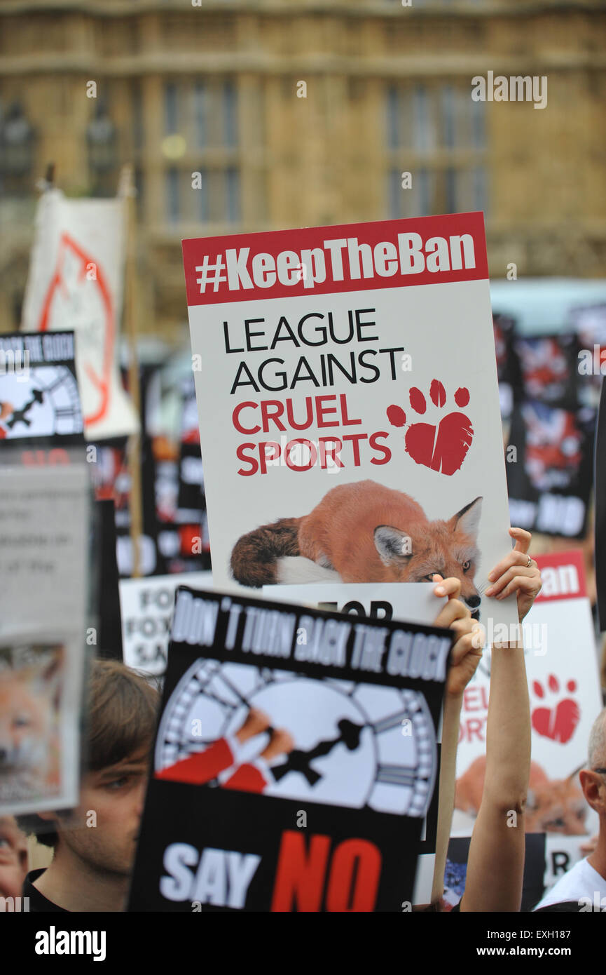 Westminster, London, UK. 14th July 2015. A Fox hunting ban ...