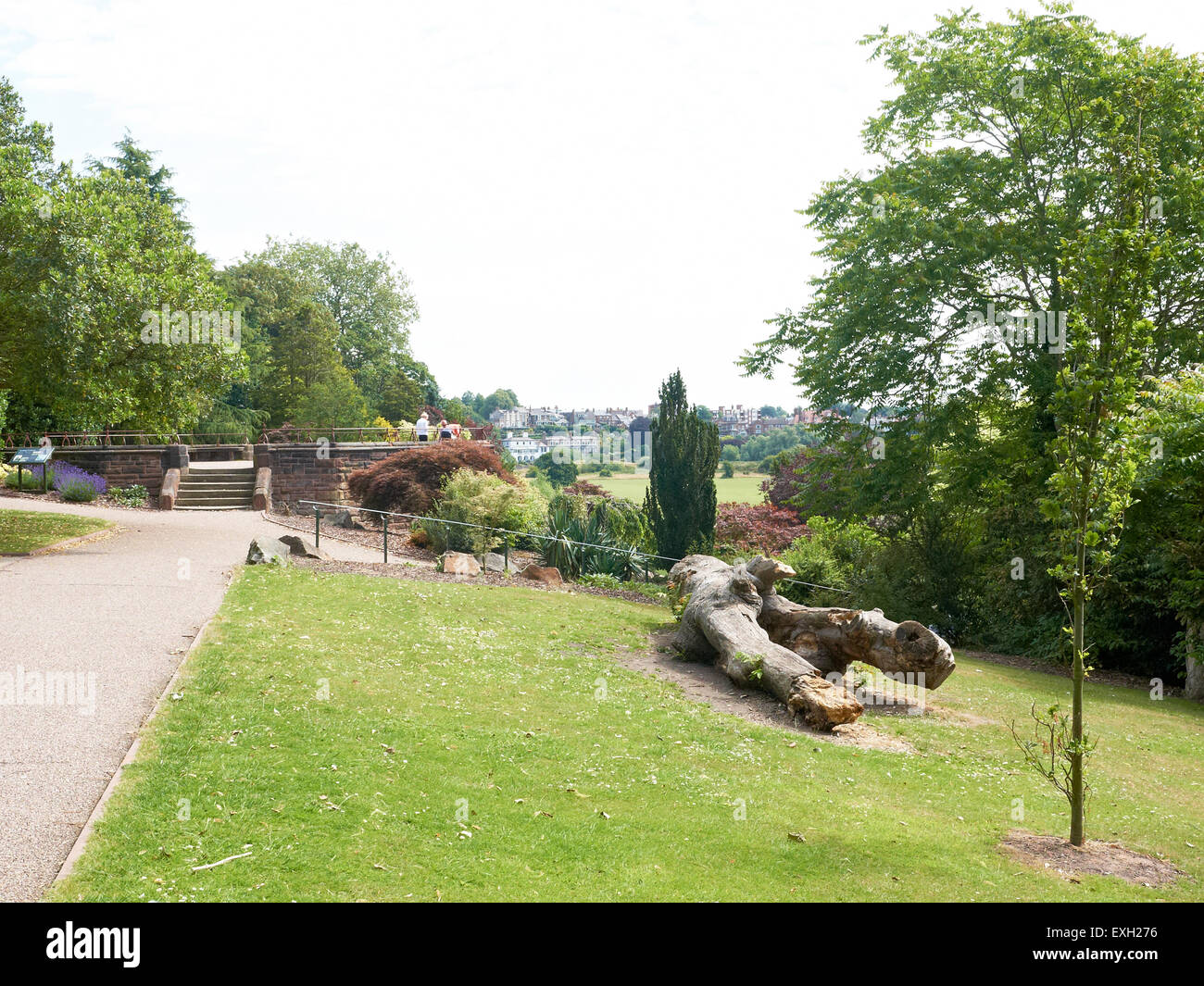 View from Grosvenor Park over the River Dee towards The Groves in ...
