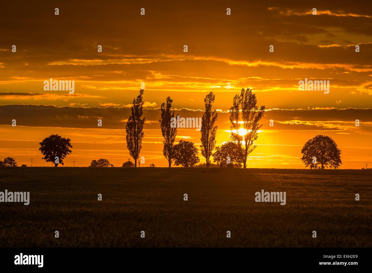 Beautiful summer sunset sky over countryside. Landscape with orange ...