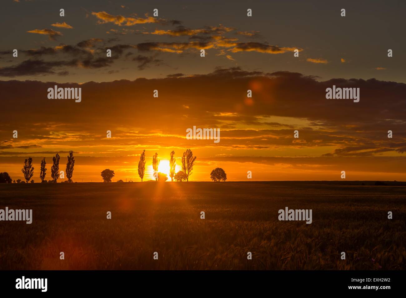 Beautiful summer sunset sky over countryside. Landscape with orange ...