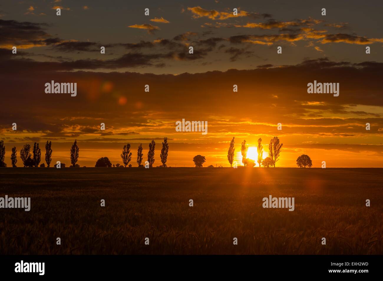 Beautiful summer sunset sky over countryside. Landscape with orange ...