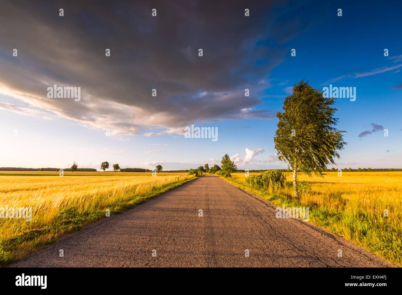 Rural summer landscape with old asphalt road and fields. Beautiful ...