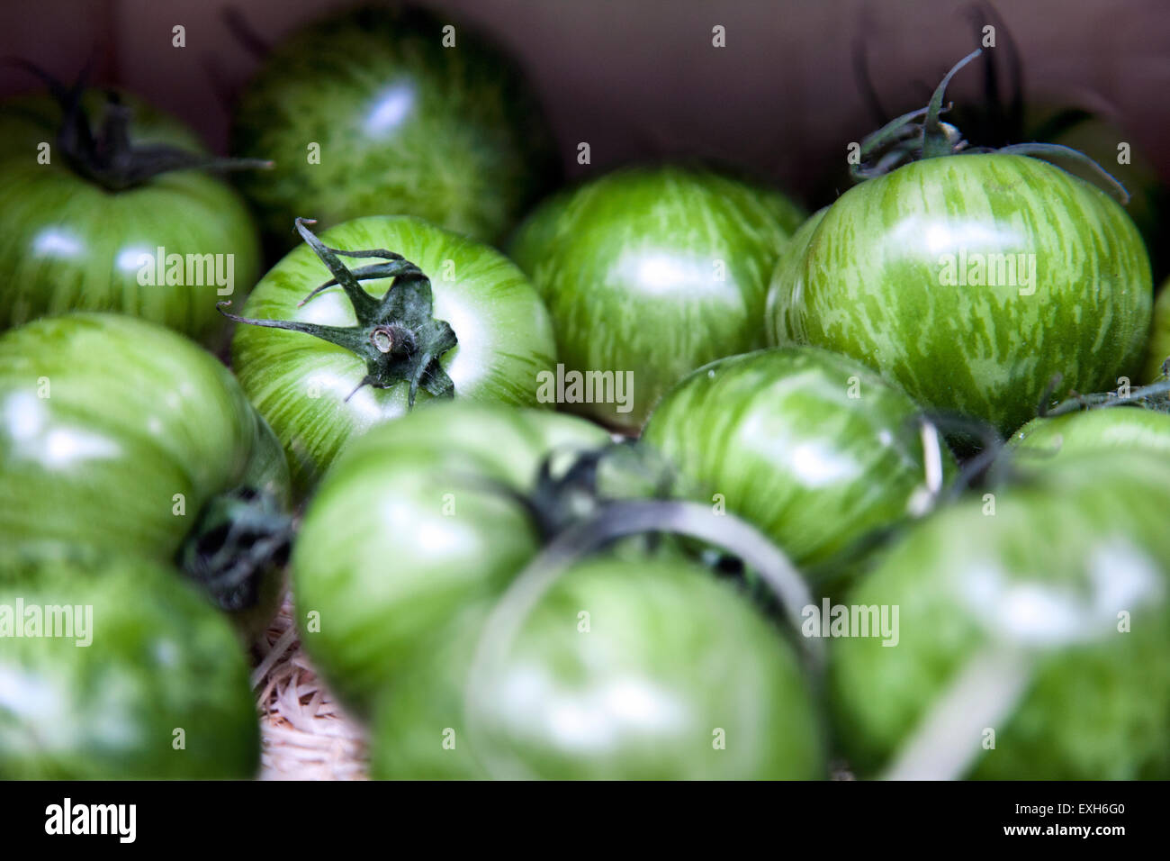 Green Tiger Tomatoes at Borough Market in London UK Stock Photo - Alamy