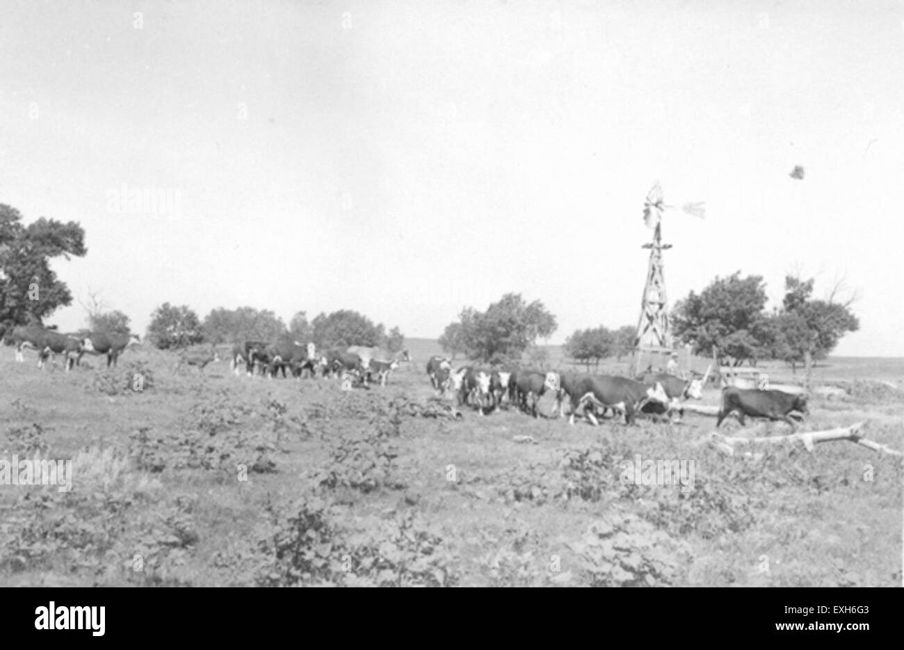 Cairo, Nebraska, is a small town known for its Mennonite and Anabaptist ...