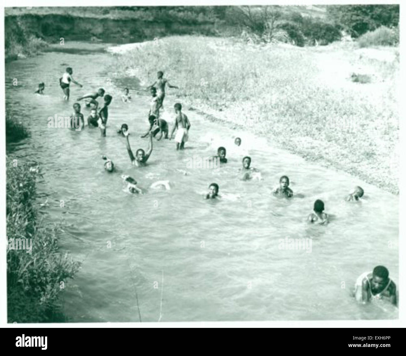 Summer camp swimming hi-res stock photography and images - Alamy
