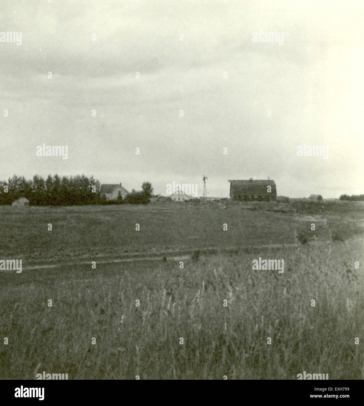 The Carstairs Mennonite Community in Alberta is known for its rural ...
