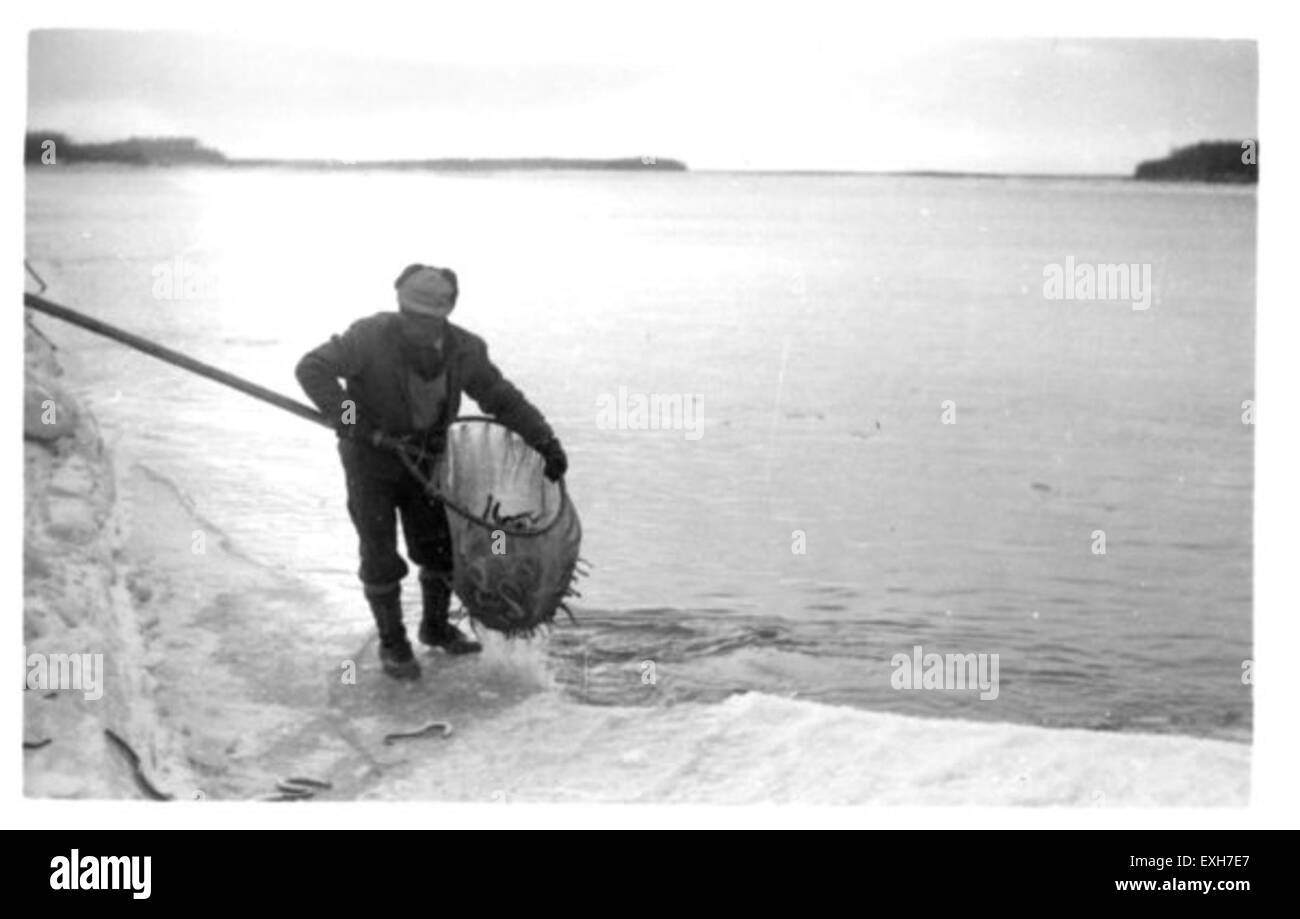 Catching eels hi-res stock photography and images - Alamy