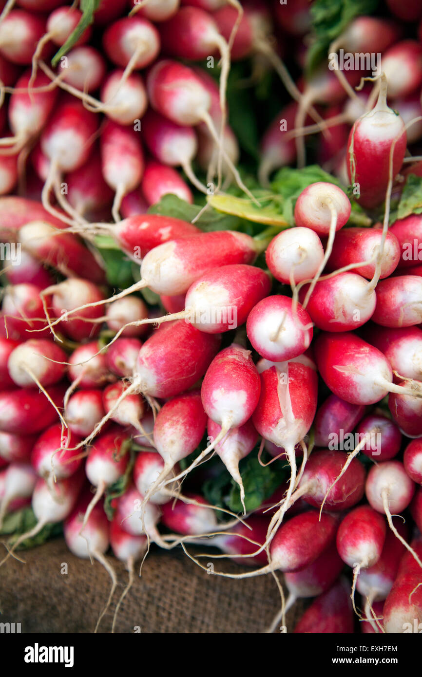 Radishes at Borough Market in London UK Stock Photo - Alamy