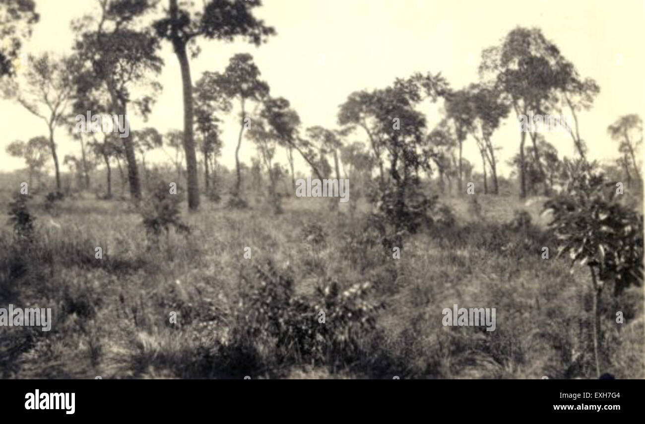 Chaco paraguay landscape hi-res stock photography and images - Alamy