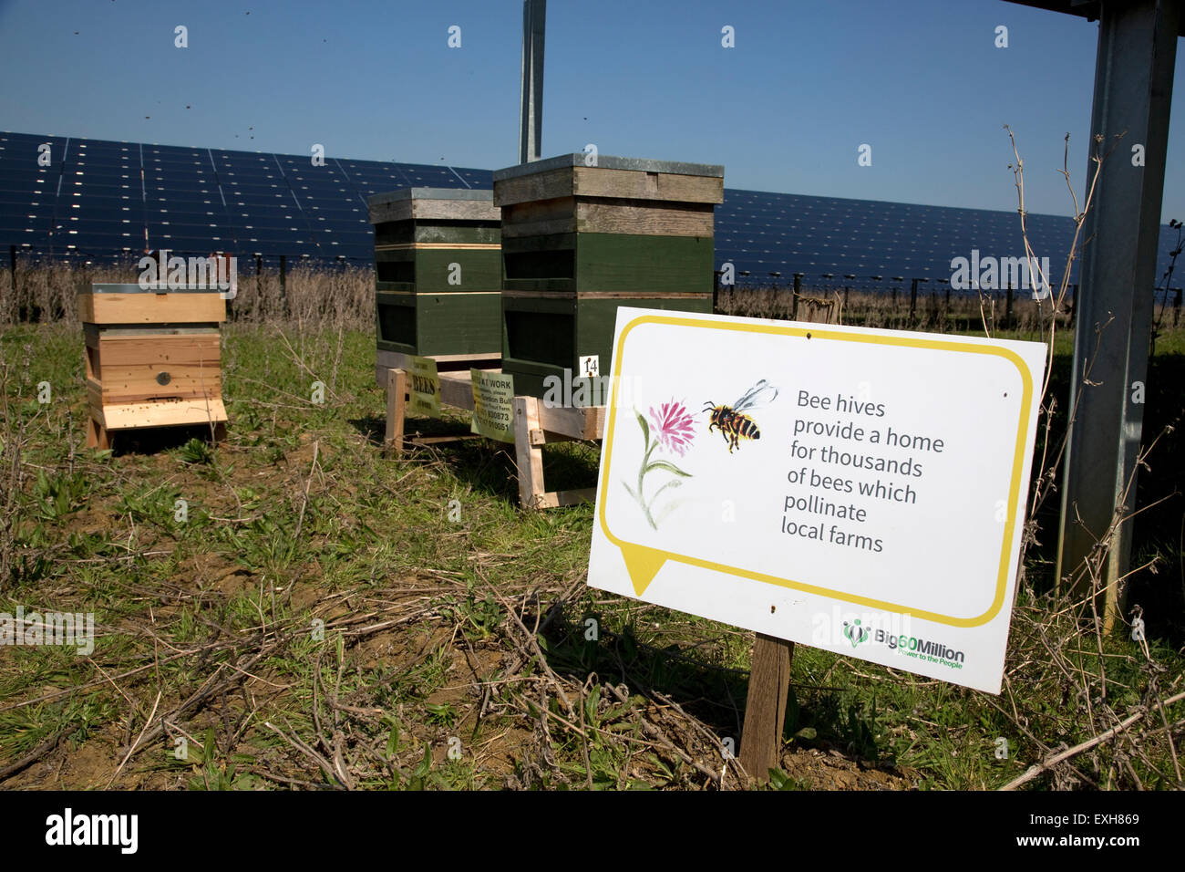 Bee hives at solar PV farm with PV array in background Willersey ...