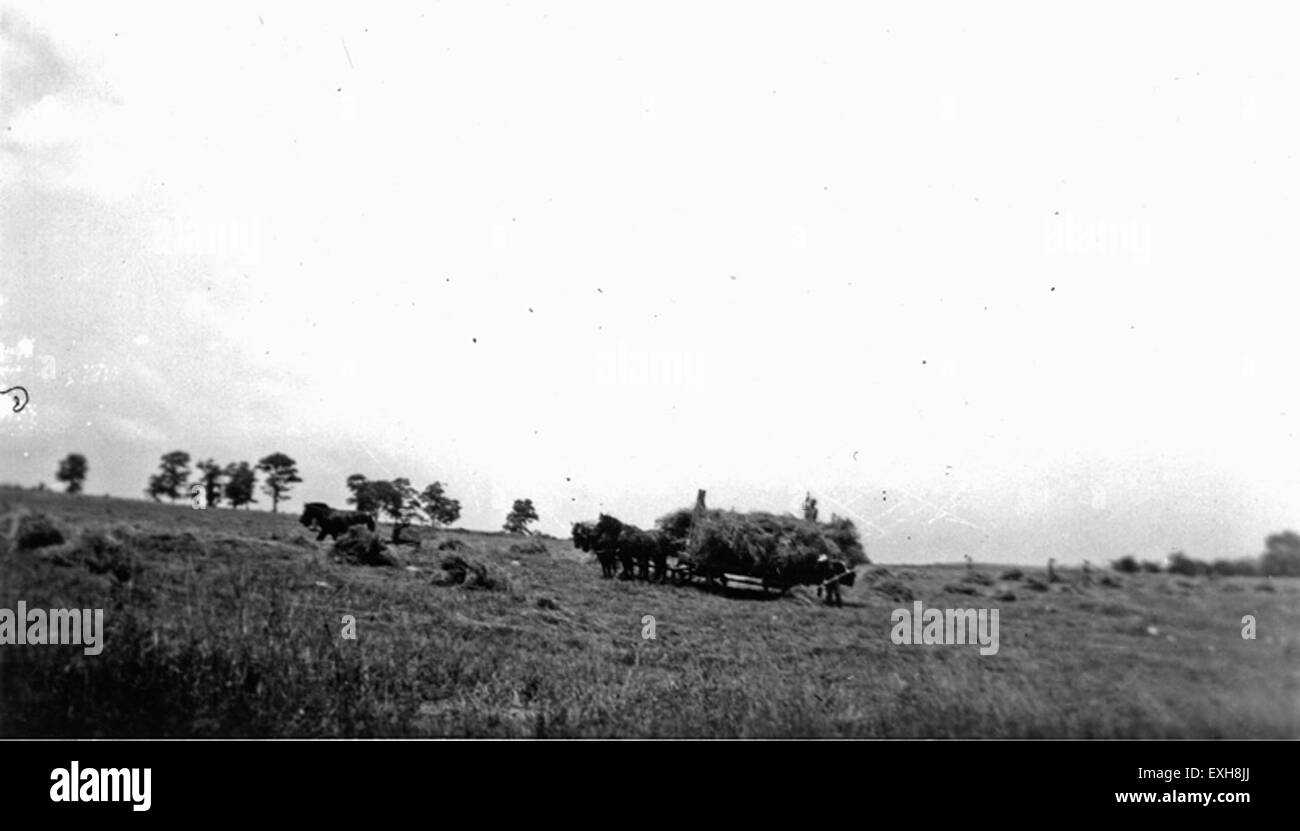Conscientious objectors in Hagerstown, Maryland, engaged in field work ...