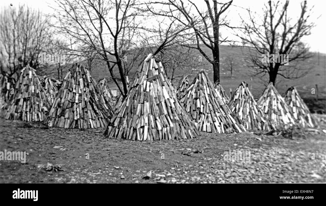 Civilian Public Service #24 was a program that involved conscientious ...