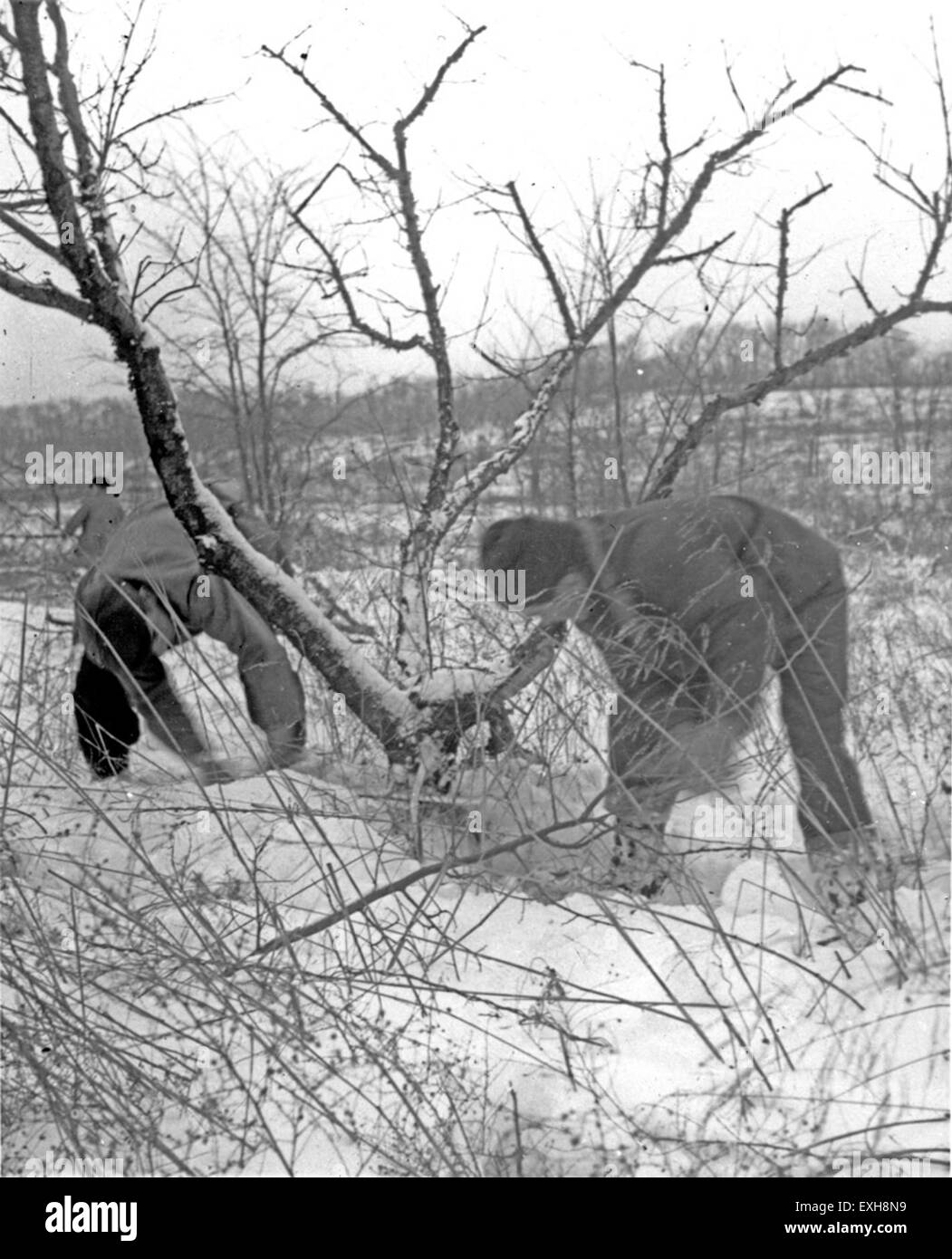 Civilian Public Service #24 Stock Photo - Alamy