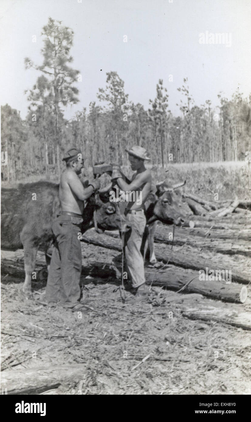 Civilian Public Service workers in Mulberry, Florida, participate in ...