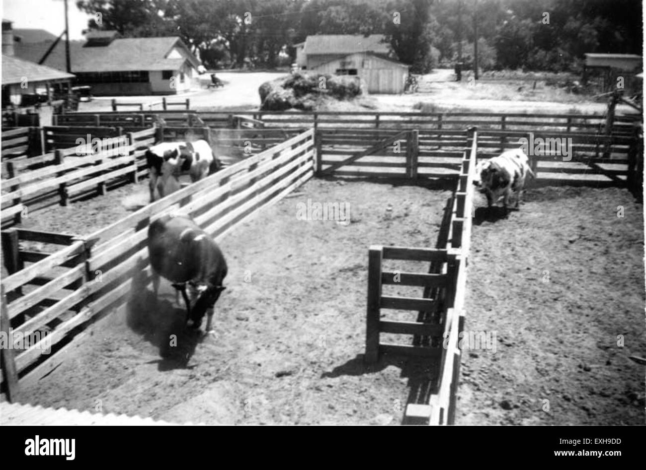 This image shows a Civilian Public Service (CPS) project in Stockton ...