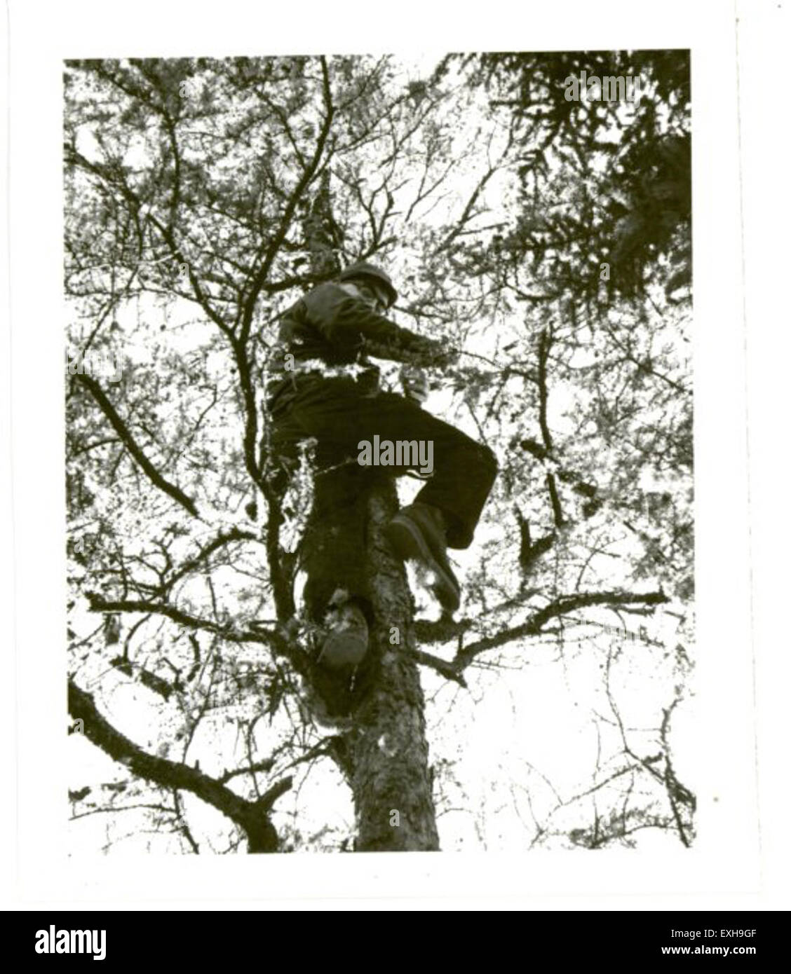 Mission participation Cut Out Stock Images & Pictures - Alamy