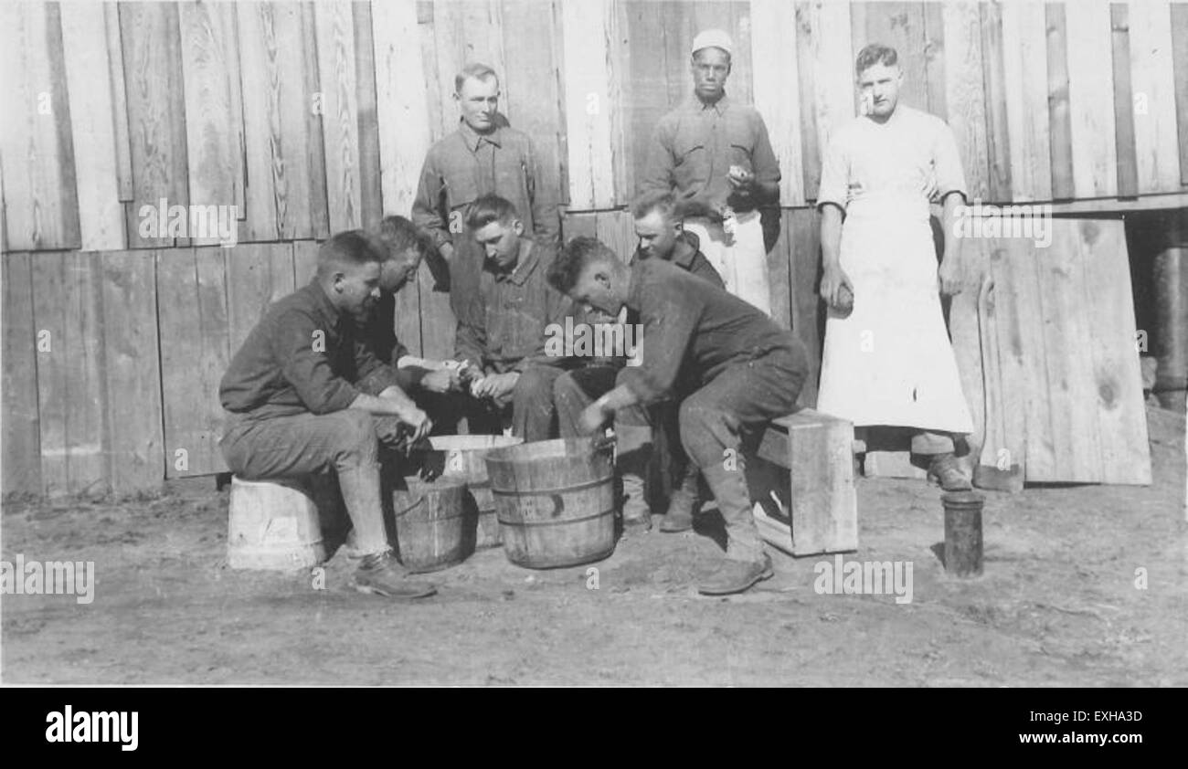 Conscientious objectors (COs) participated in non-combatant service ...