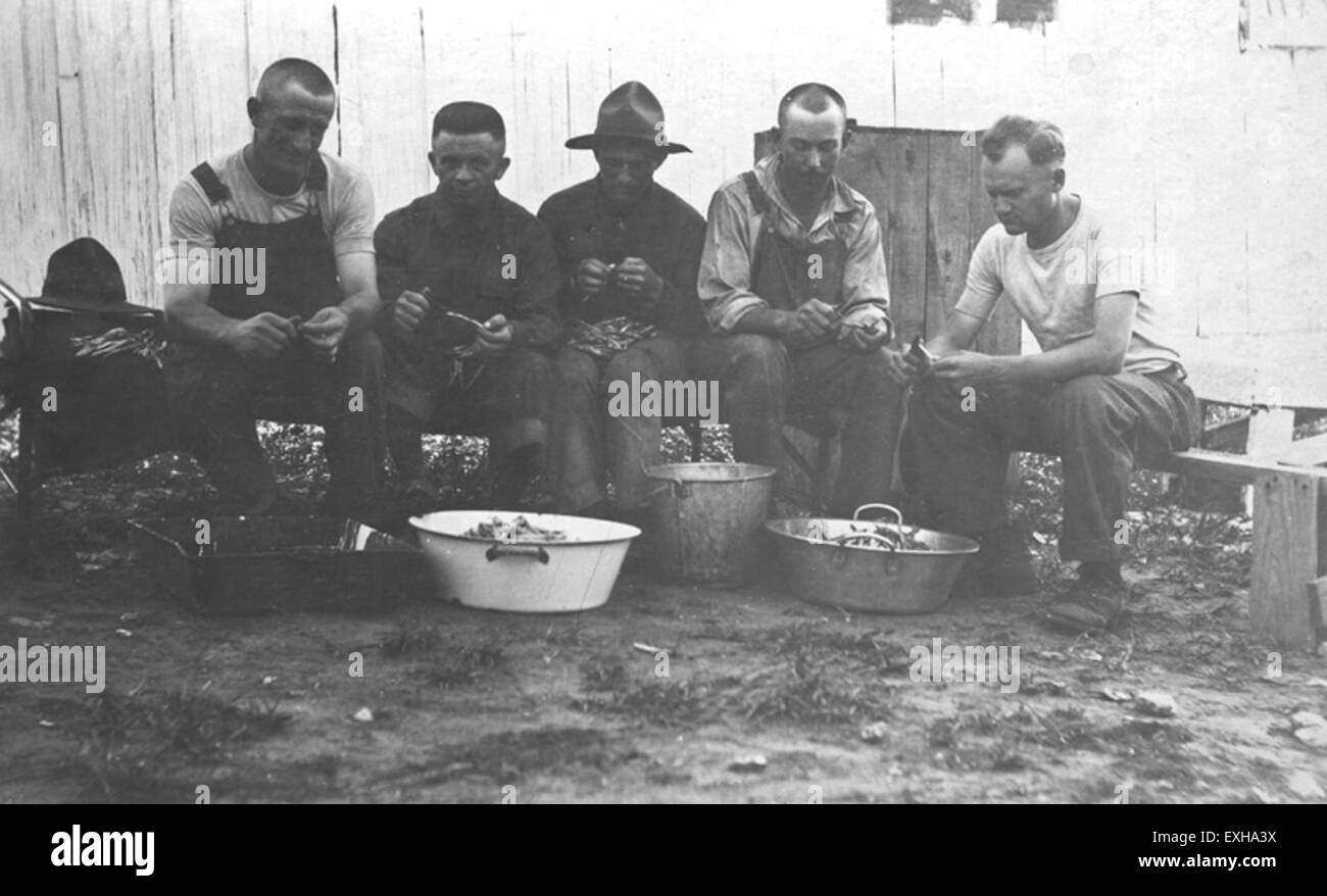 This image depicts conscientious objectors (COs) snapping green beans ...