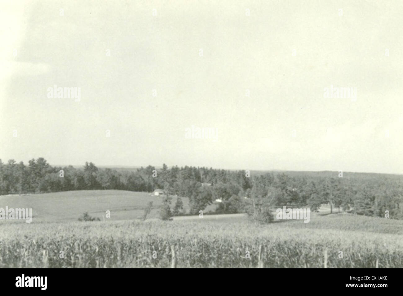 A rural scene of Detroit Lakes, Minnesota, showcasing agricultural land ...