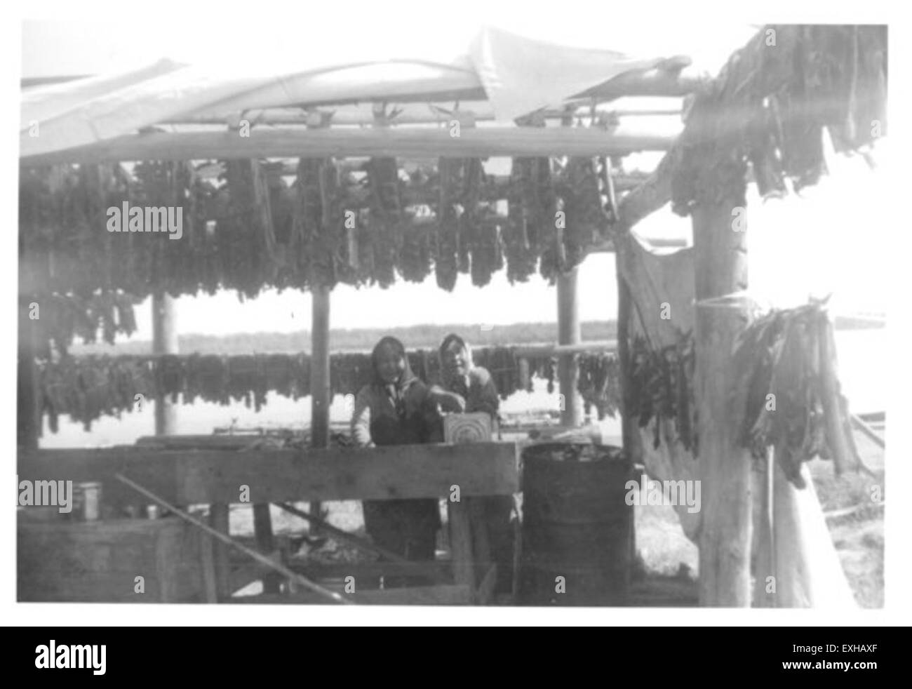 Fish drying process, often done in rural areas as a method of ...