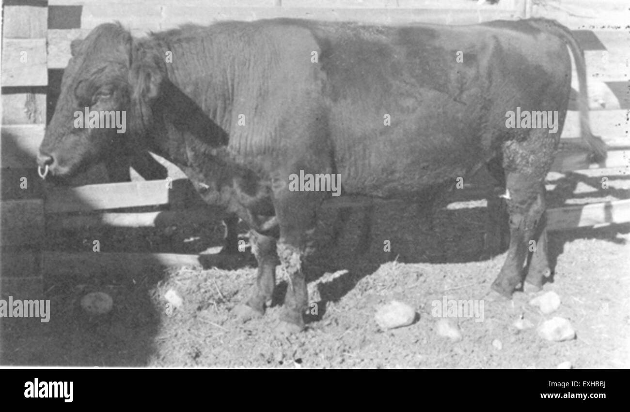 Fairview and michigan hi-res stock photography and images - Alamy