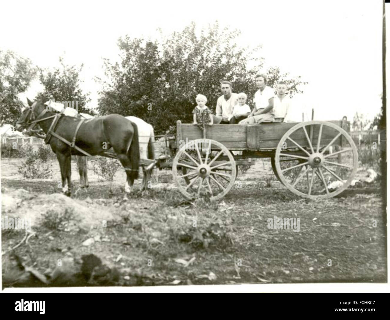 This photograph shows a Mennonite family in a wagon, likely during ...