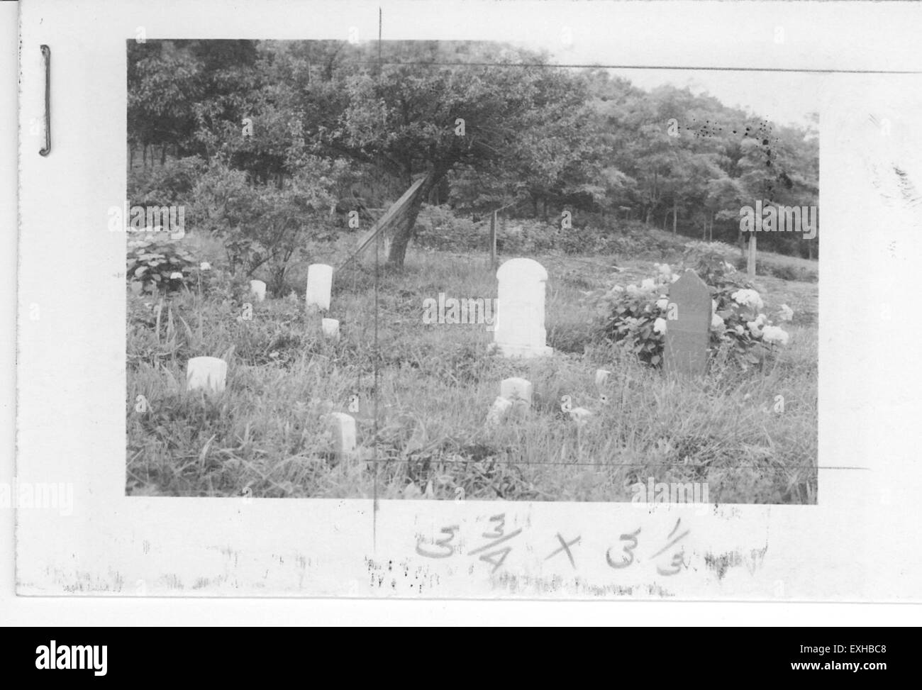 The family plot on Mount Branch is a significant family burial site. It ...