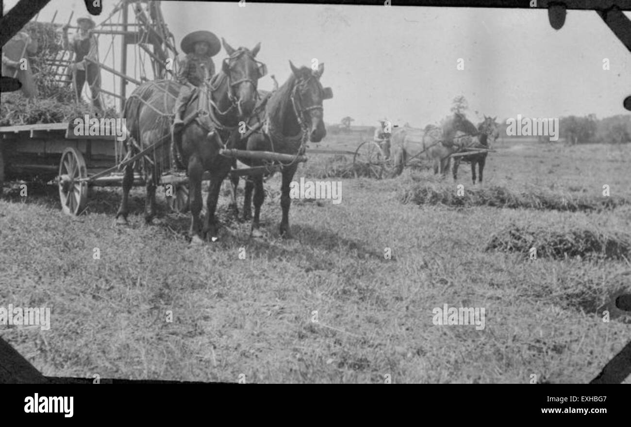 Farm work Black and White Stock Photos & Images - Alamy