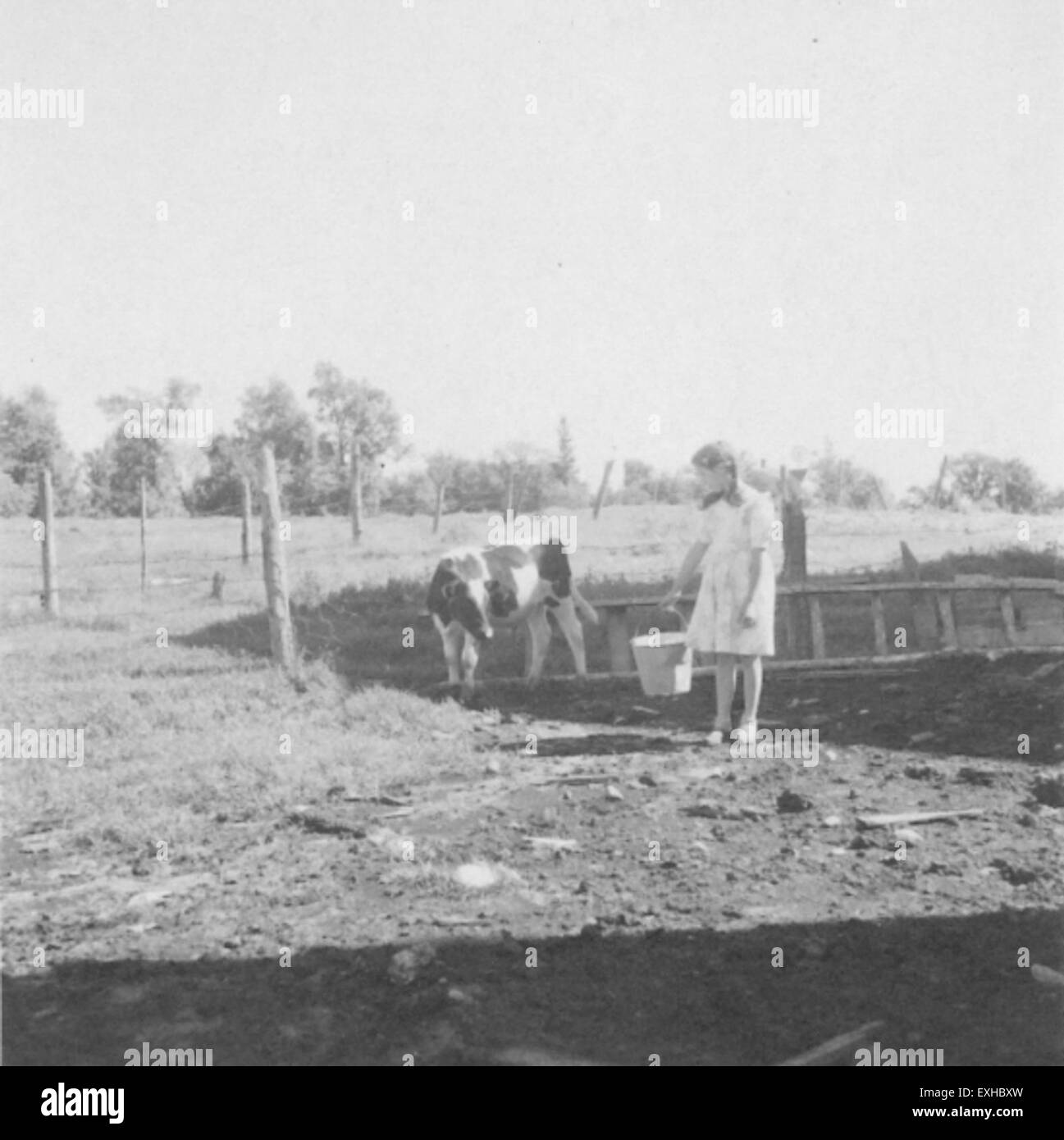 In Frazee, Minnesota, Barbara Greaser was part of the Mennonite ...