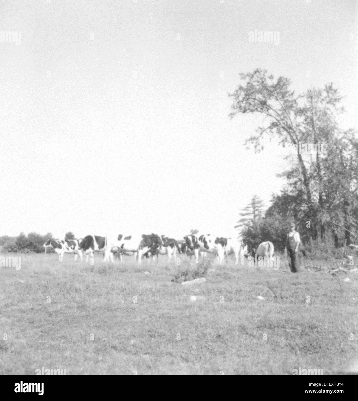 A photograph of the town of Frazee, Minnesota, possibly depicting the ...