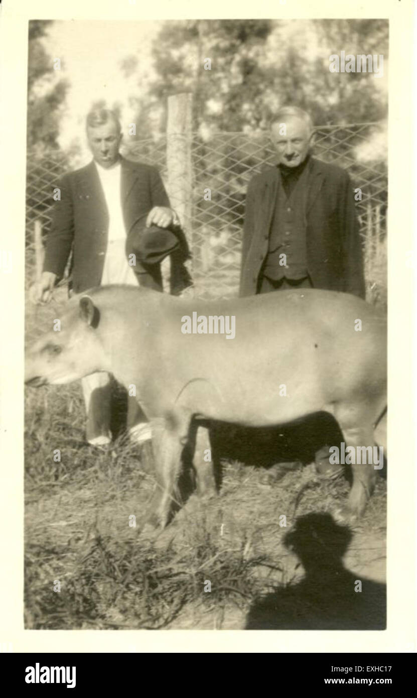 This photograph shows Funk and Toews with a friendly tapir in Paraguay ...