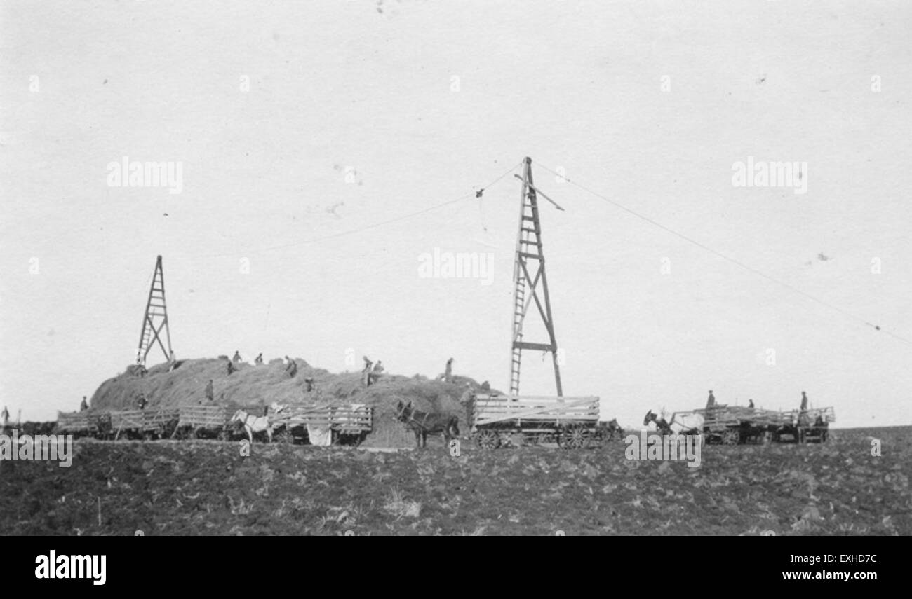At Adams Ranch in Odebolt, Iowa, hay is being hauled to the barn ...
