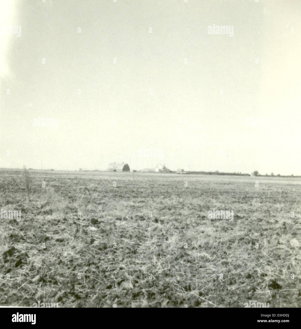 The photo captures rural life in High River, Alberta, highlighting the ...